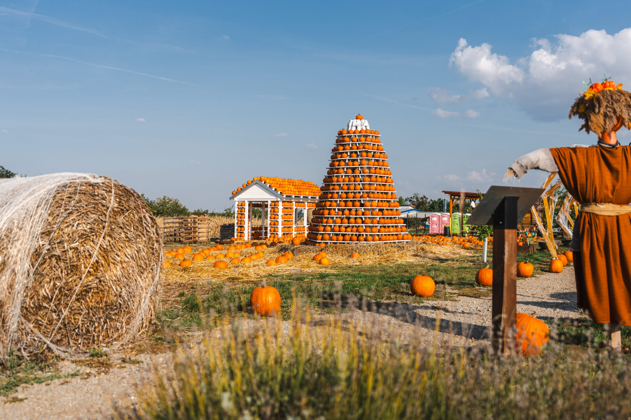 Svět dýní - Svět bludišť